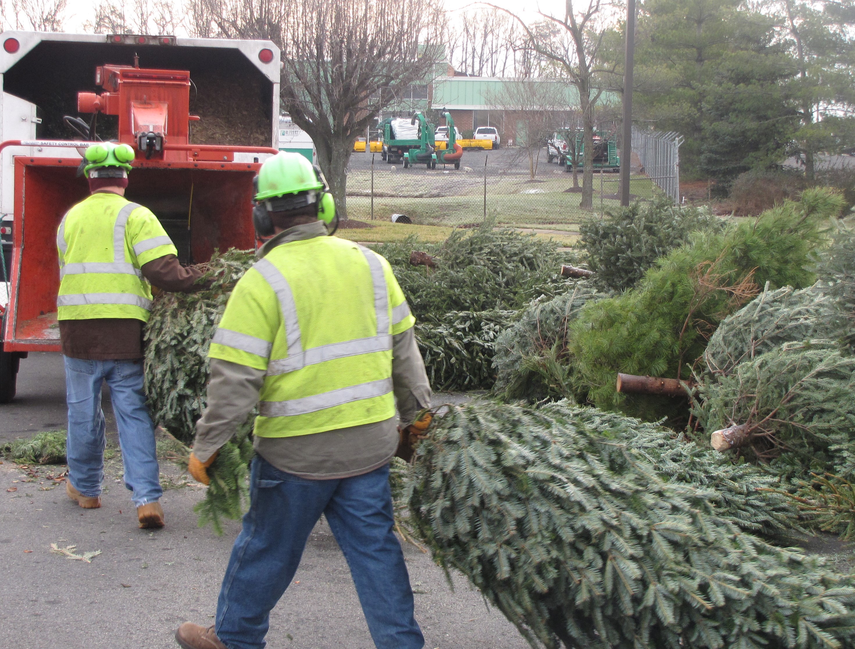 Recycle Your Christmas Tree and Wreaths After the Holidays | Prince ...