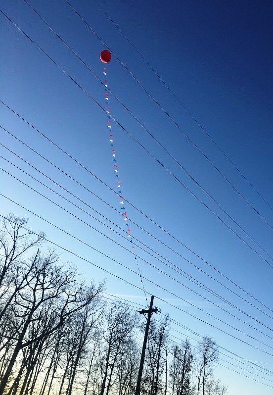 Keep Flying Objects Away from Power Lines | Prince William Living