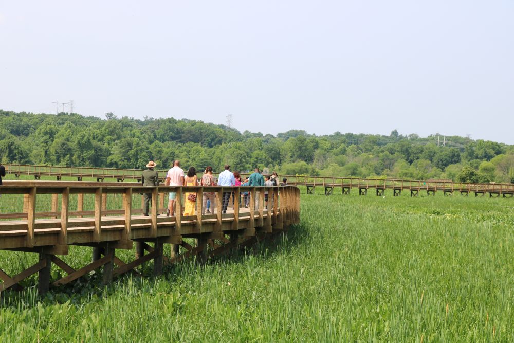 Building the Neabsco Creek Boardwalk: Balancing Access and Preservation ...