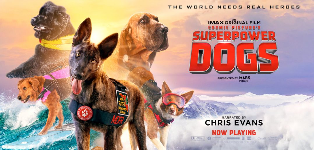 Sensory Friendly Screenings of "Superpower Dogs" | Prince William Living