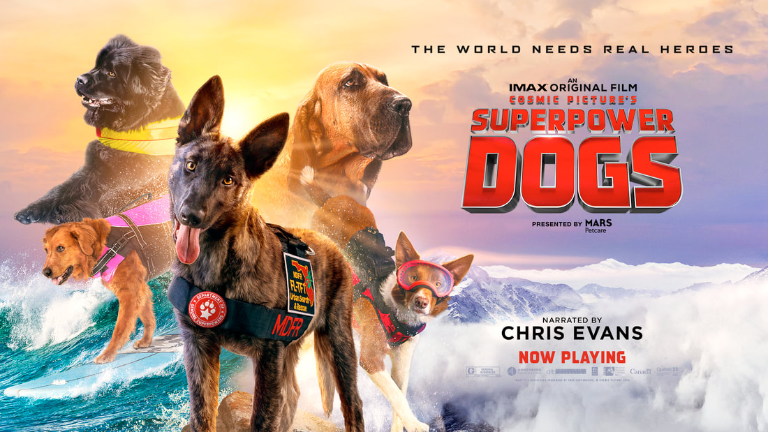 Sensory Friendly Screenings of "Superpower Dogs" | Prince William Living