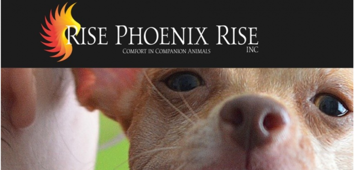 Octo Supports Mental Health Programs, Sponsors Motivational Book ...