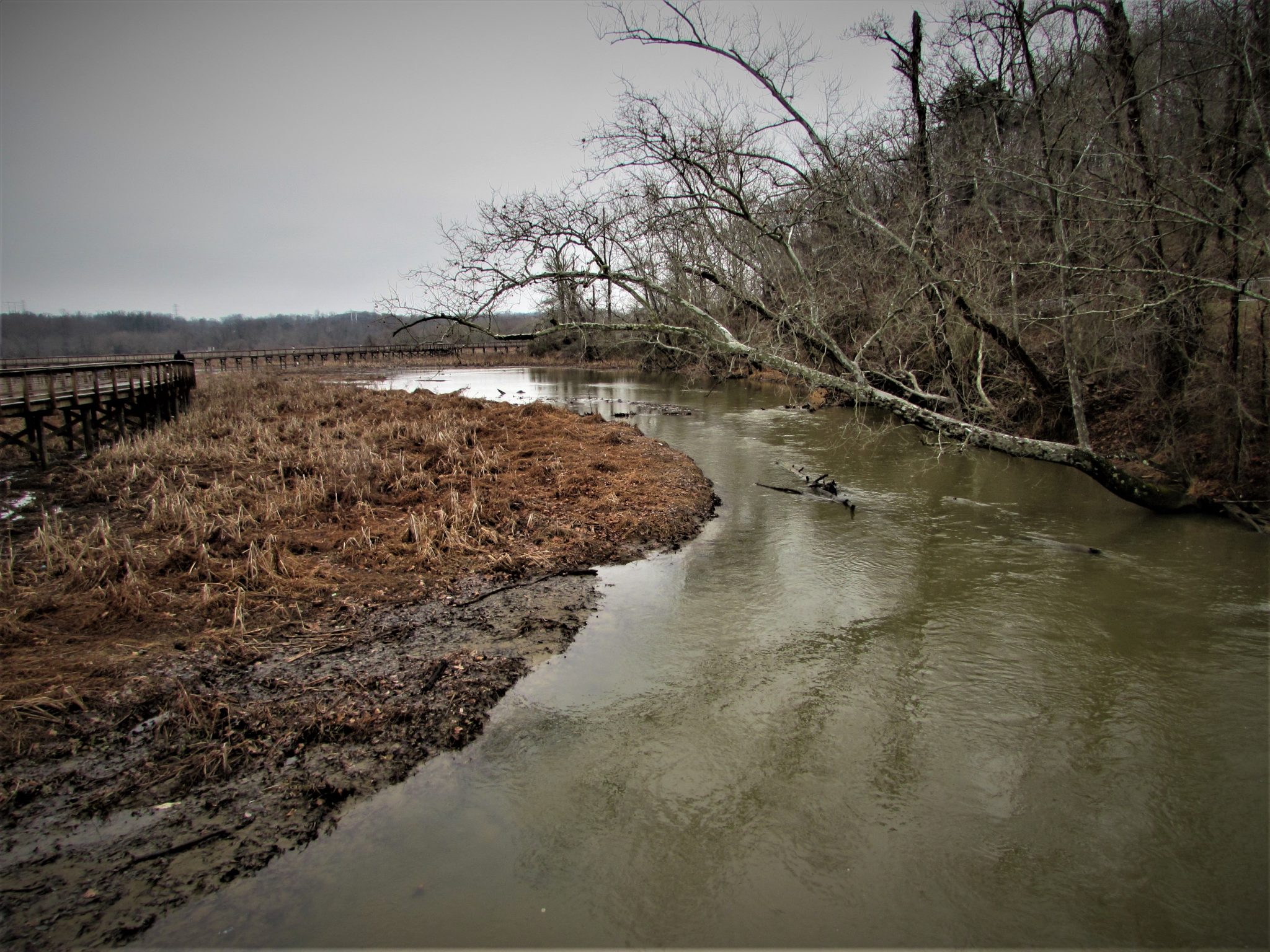 A Visit to Neabsco Regional Park | Prince William Living