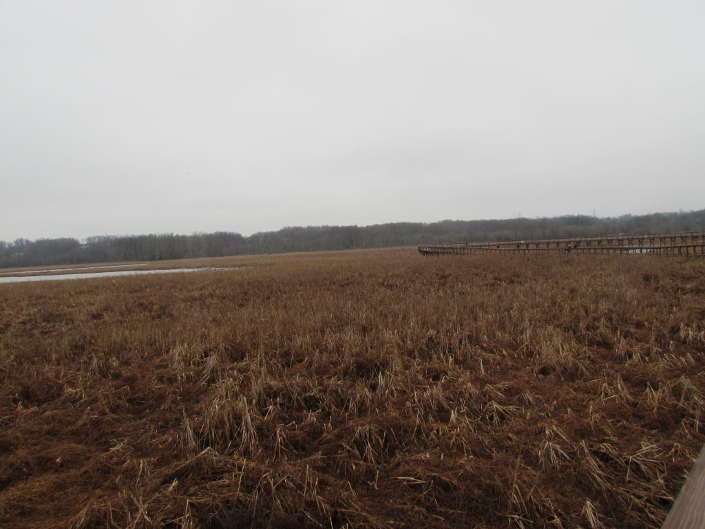 A Visit to Neabsco Regional Park | Prince William Living