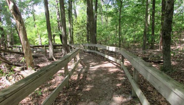 Occoquan Bay National Wildlife Refuge, Occoquan, Virginia | Prince ...