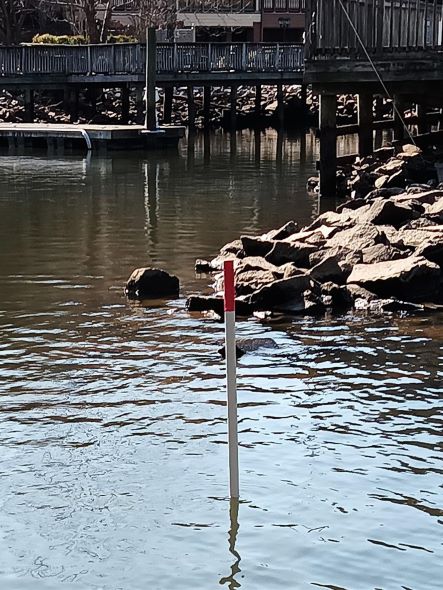 New River Safety Markers | Prince William Living