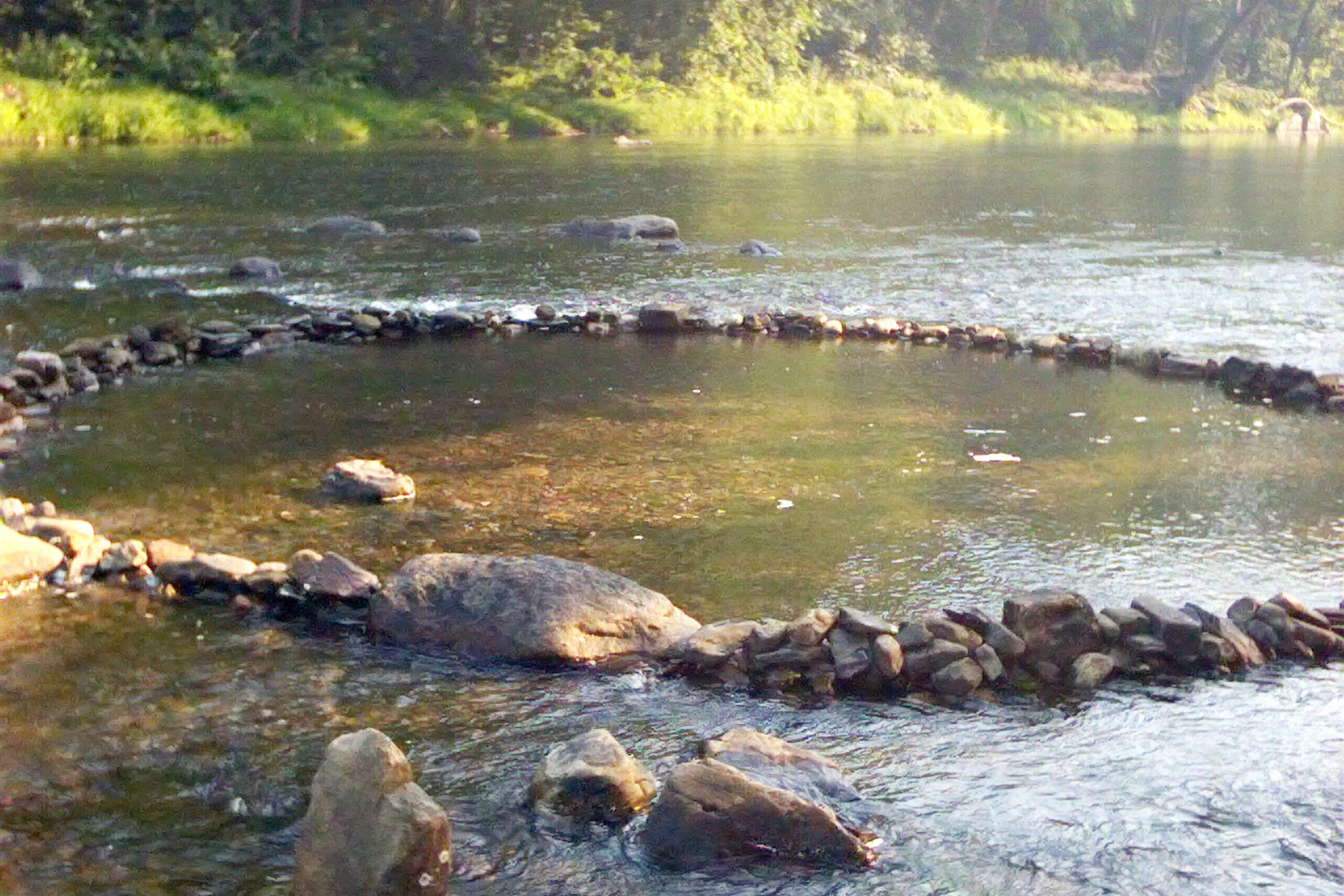 Unexpected Treasures | Prince William Living