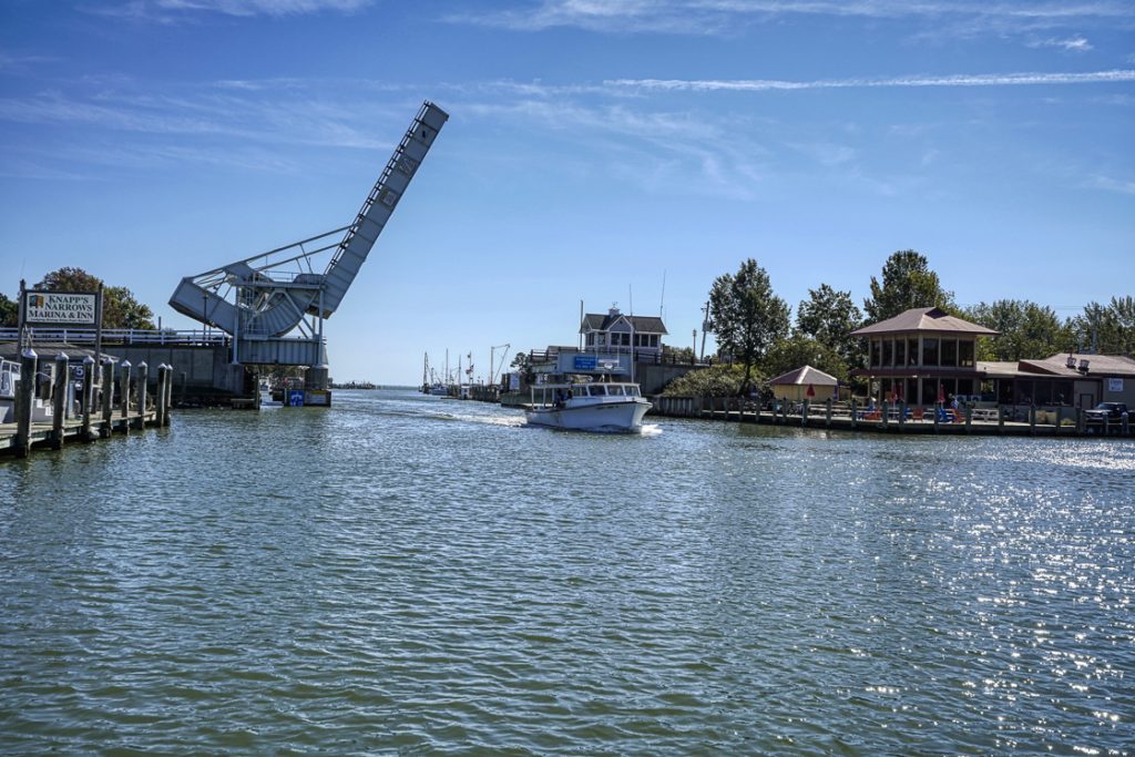 Oh! The Places You'll Go! | Prince William Living