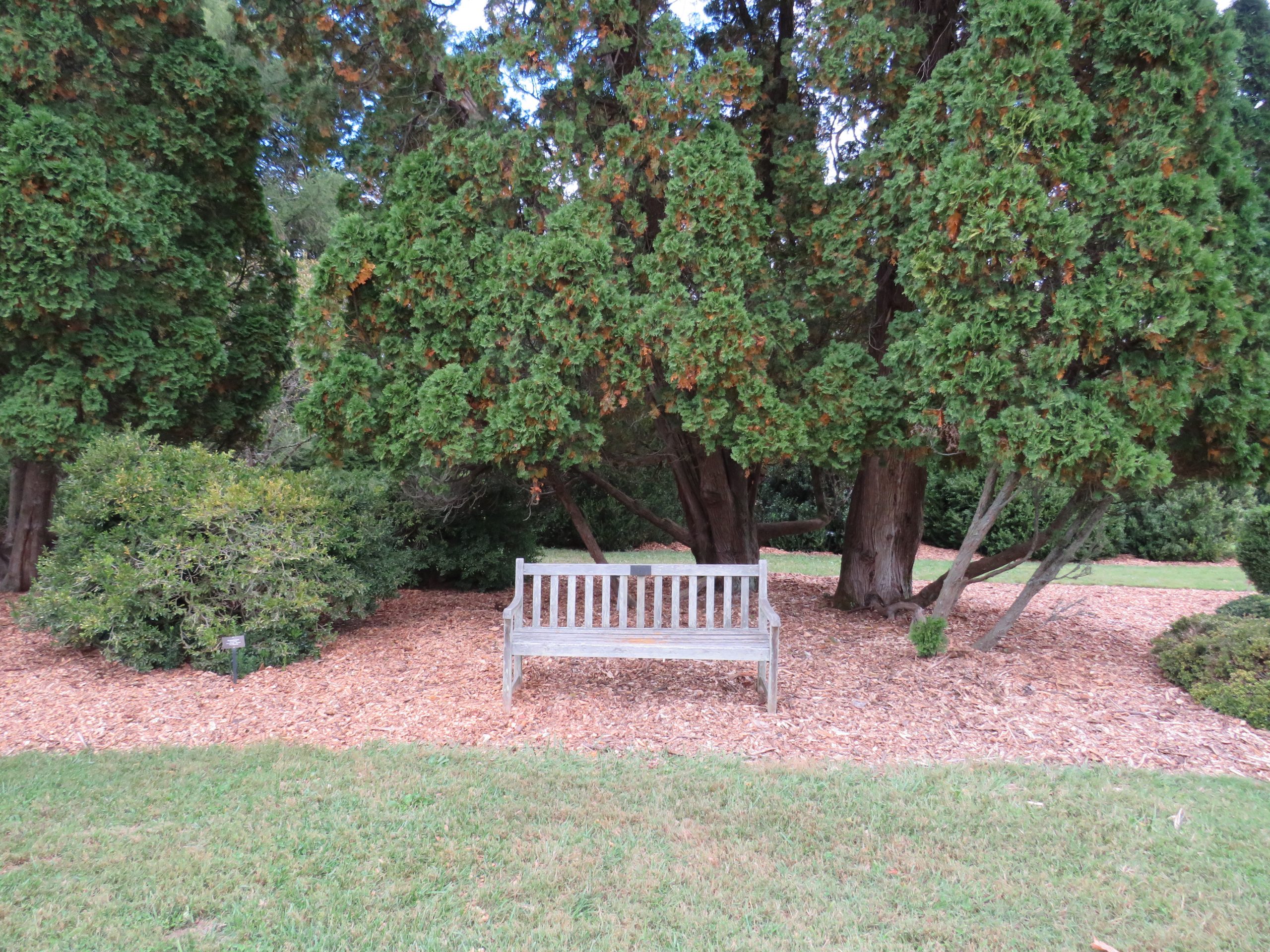 An Oasis in the Appalachian Mountains | Prince William Living