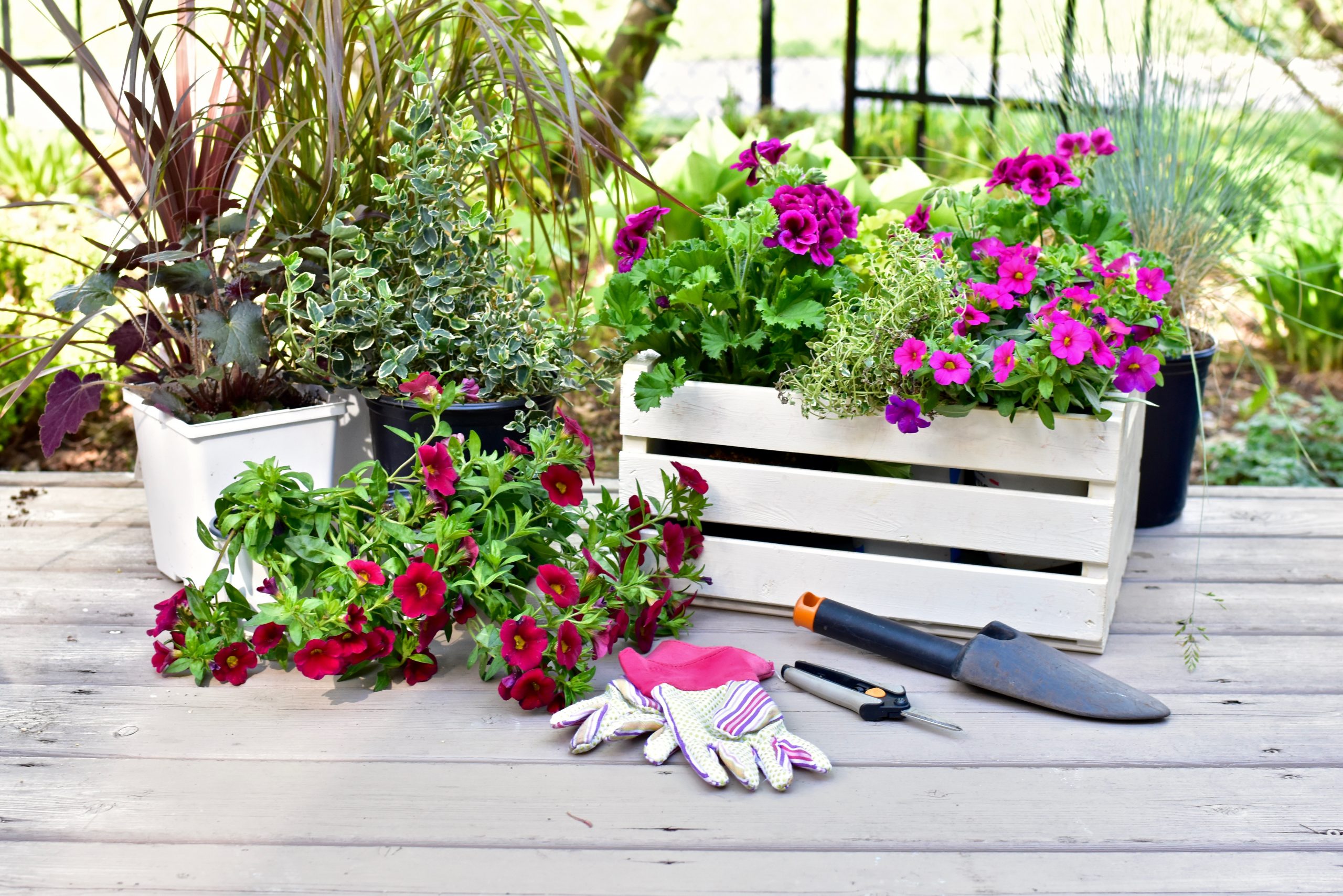 5 ways to Celebrate the First Day of Spring! | Prince William Living