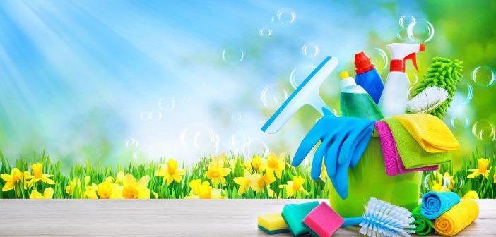 Spring Cleaning 101 | Prince William Living