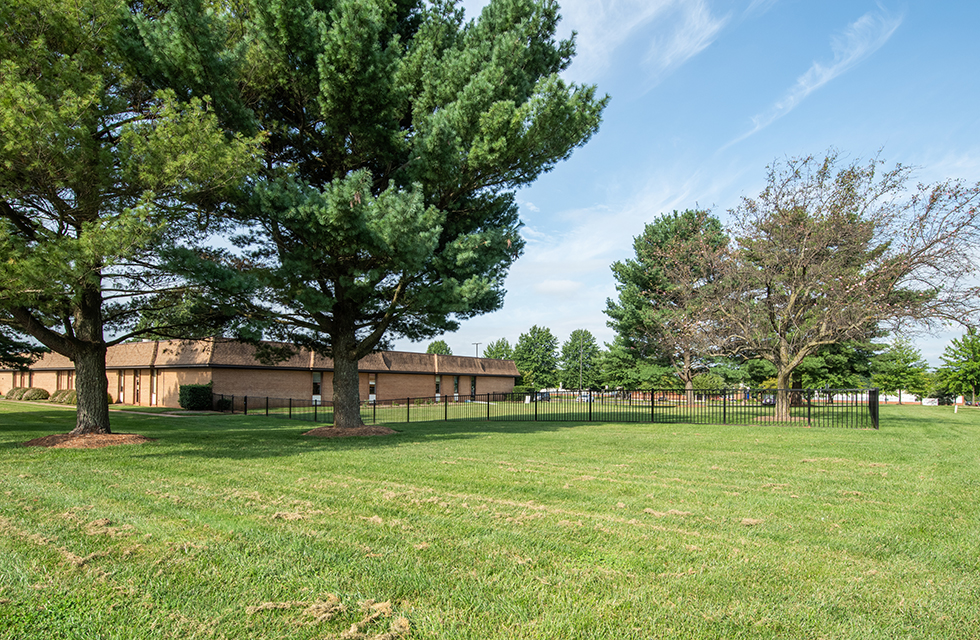 Celebrate Spring with Prince William Public Libraries | Prince William ...