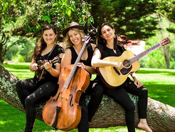 Catch Two-Time WAMMIE Award-Winning Ensemble Wicked Sycamore | Prince ...