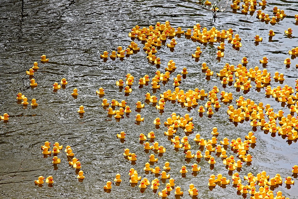 Occoquan’s Annual Duck Splash Changes Dates to Coincide with RiverFest ...