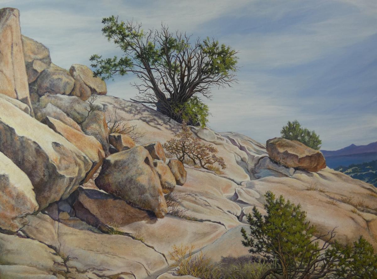 Artist Talk with Robyn Ryan | Prince William Living