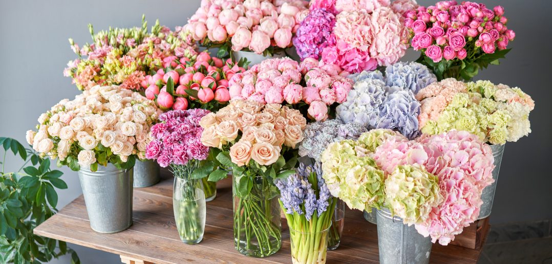In Bloom: Choosing Plants That Symbolize Love and Affection | Prince ...