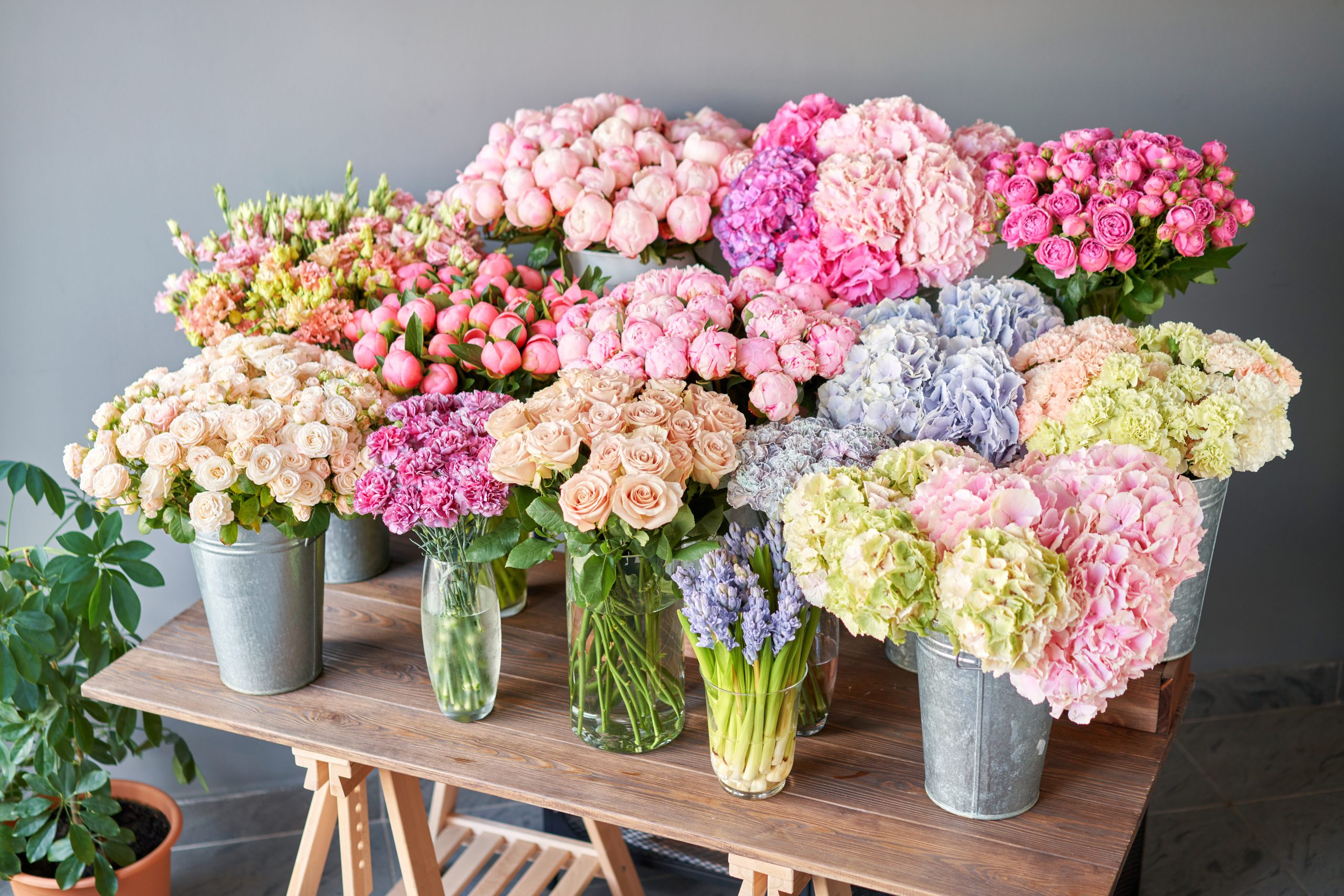 In Bloom: Choosing Plants That Symbolize Love and Affection | Prince ...