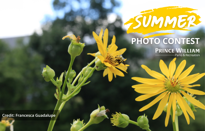 Summer Photo Contest Ends July 31 | Prince William Living