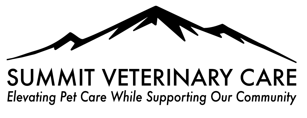 Local Veterinary Practice Earns Coveted Fear Free Practice ...