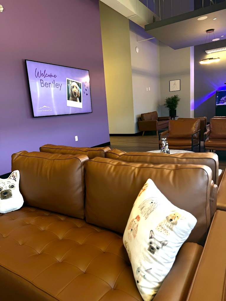 Local Veterinary Practice Earns Coveted Fear Free Practice ...