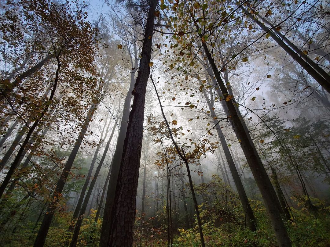 Bull Run Mountains: A Living Laboratory and Open-Air Museum | Prince ...