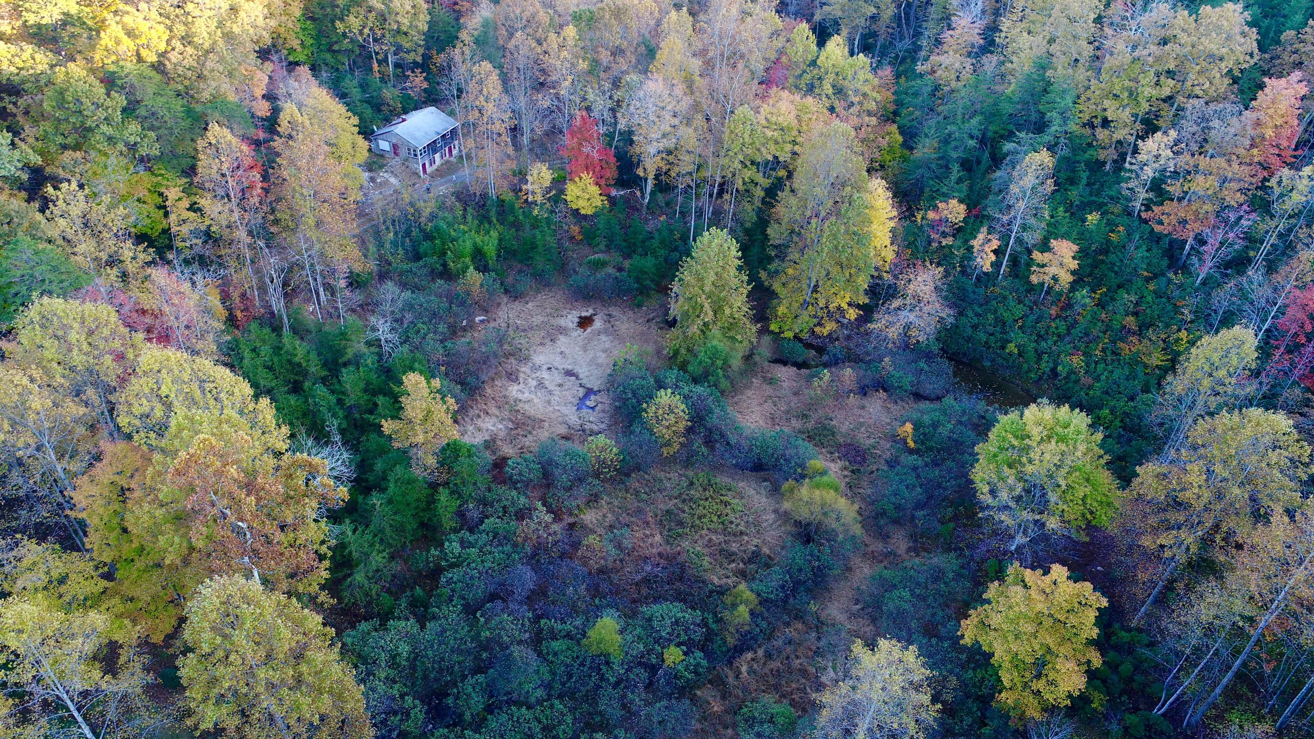 Bull Run Mountains: A Living Laboratory and Open-Air Museum | Prince ...