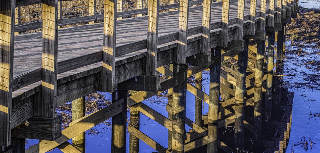 Neabsco Regional Park Combines Nature, Recreation, Education, and ...