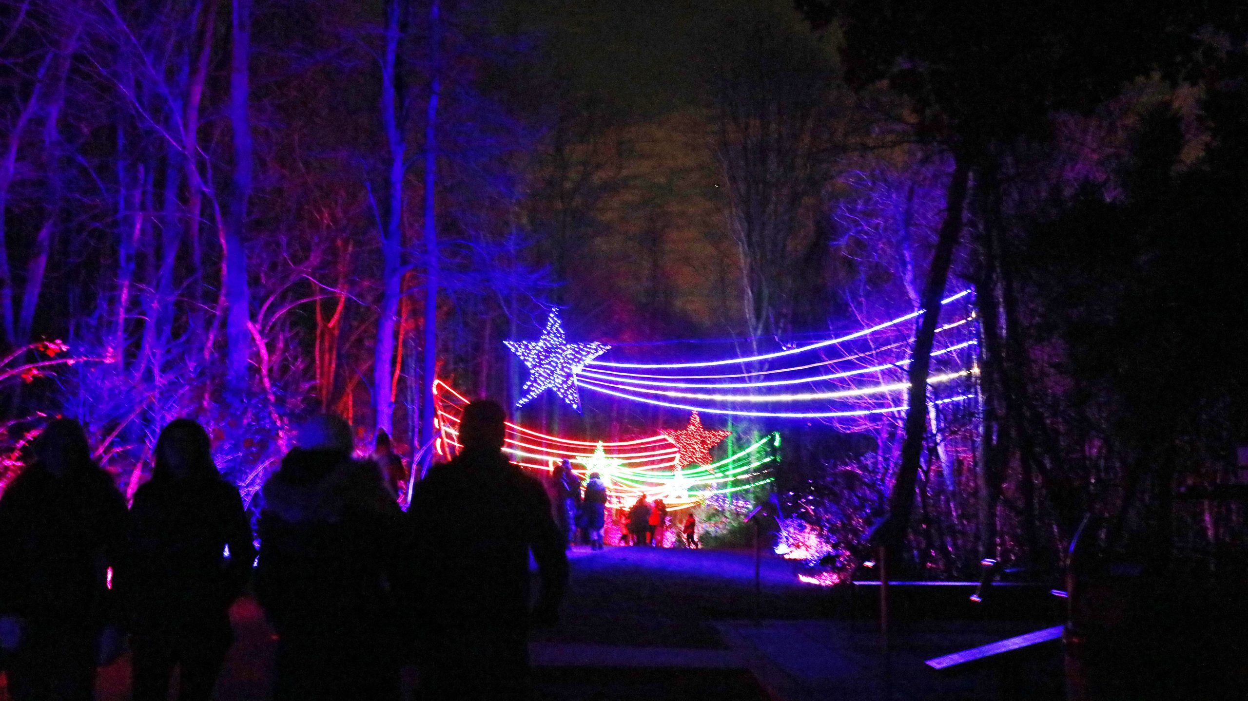 Get in the Spirit with Local Lights | Prince William Living