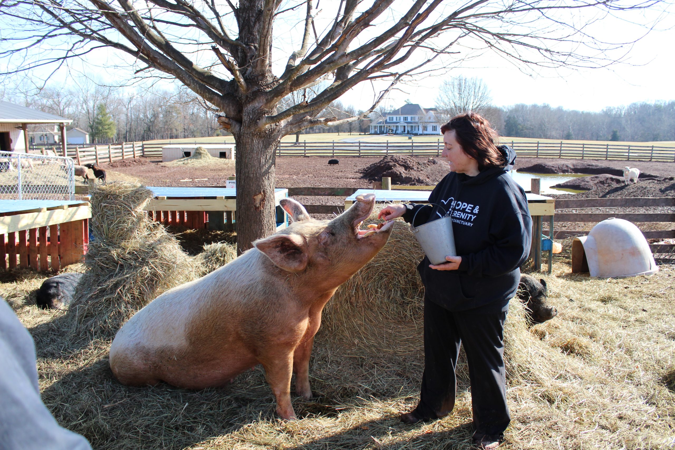 A Place for All: Hope & Serenity Farm Sanctuary | Prince William Living