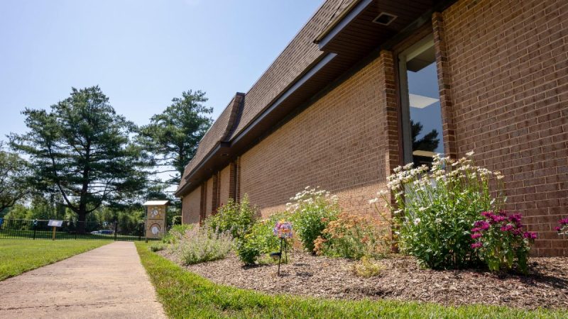 Check Out What’s Happening at Prince William Public Libraries | Prince ...