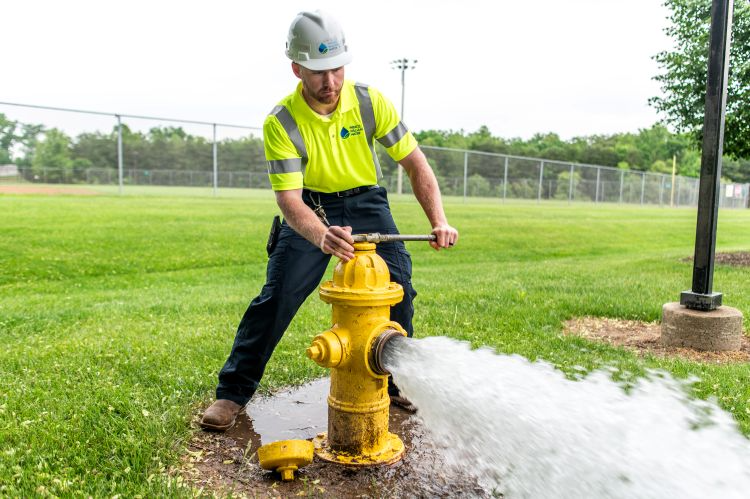 Springtime Water Quality Programs Begin This Month | Prince William Living