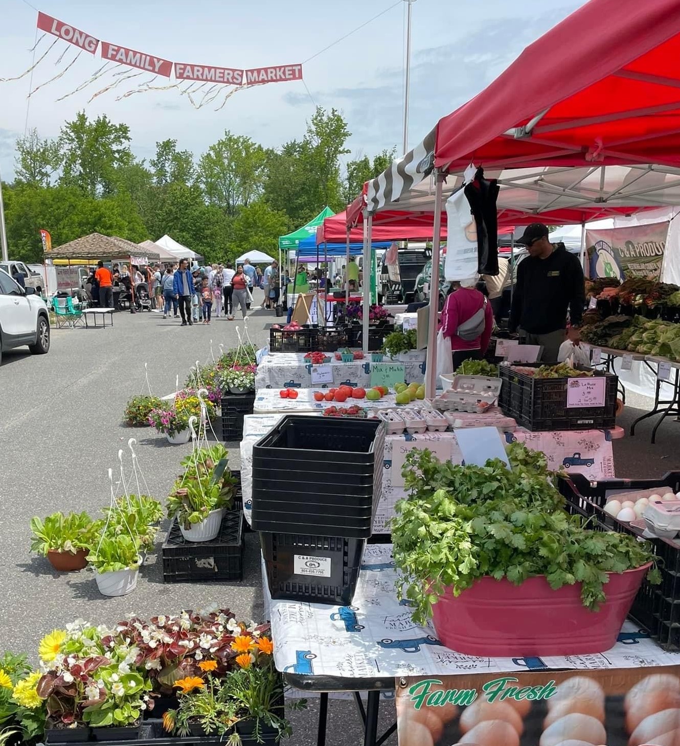 Sentara Northern Virginia Medical Center to Host Thursday Farmers ...