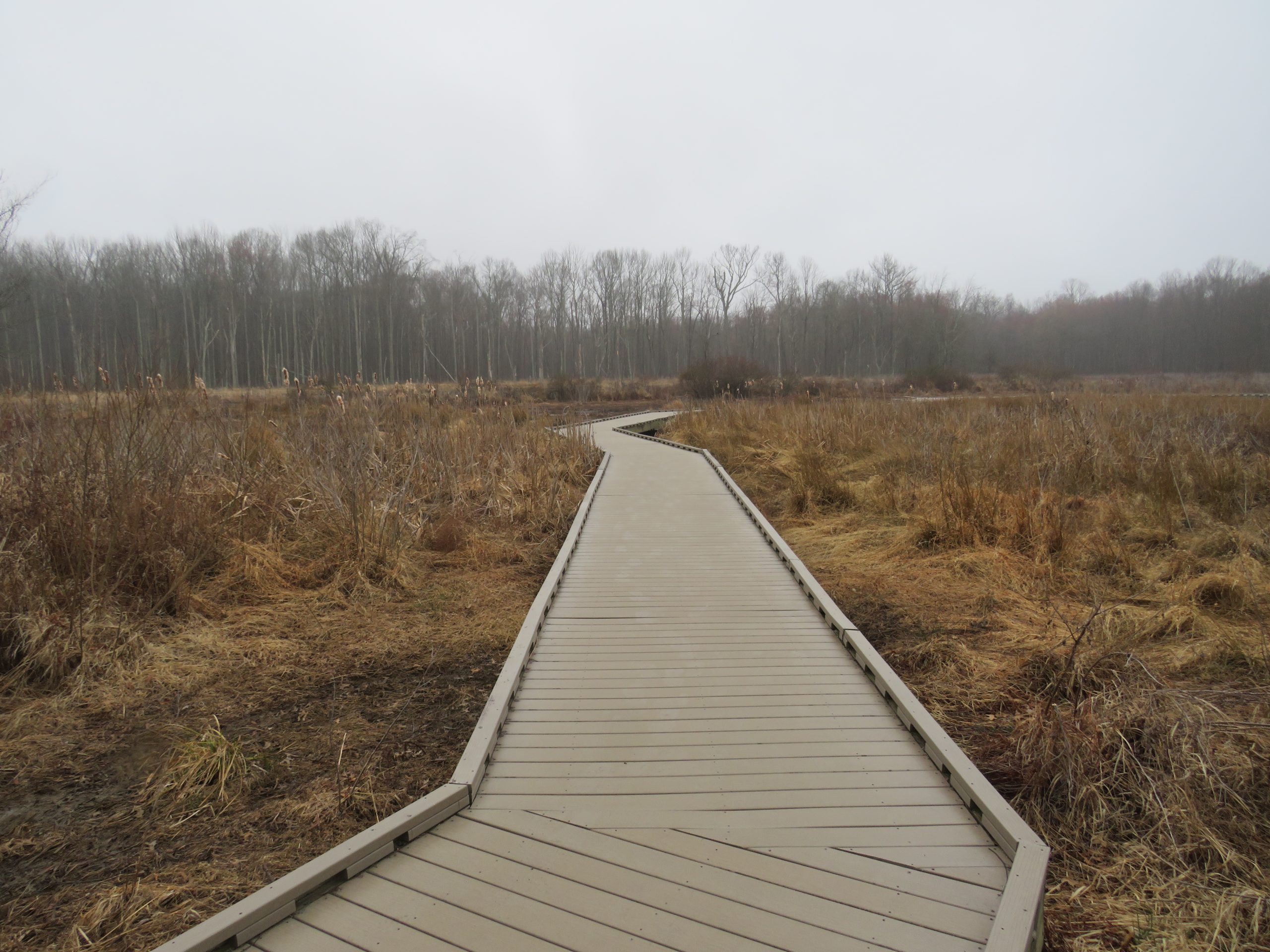 Huntley Meadows Park, Alexandria, Virginia | Prince William Living