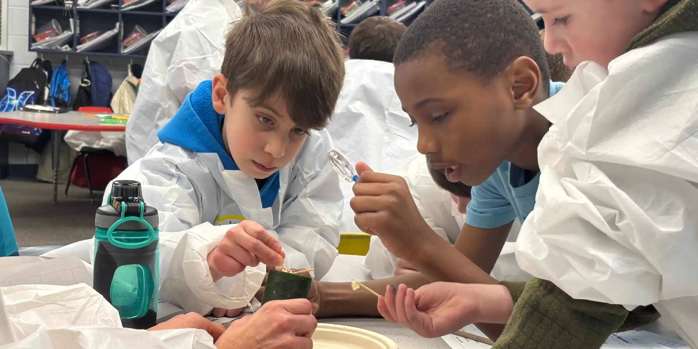 Let’s Explore National Earth Science Week | Prince William Living