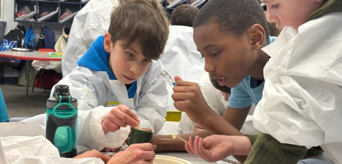 Let’s Explore National Earth Science Week | Prince William Living