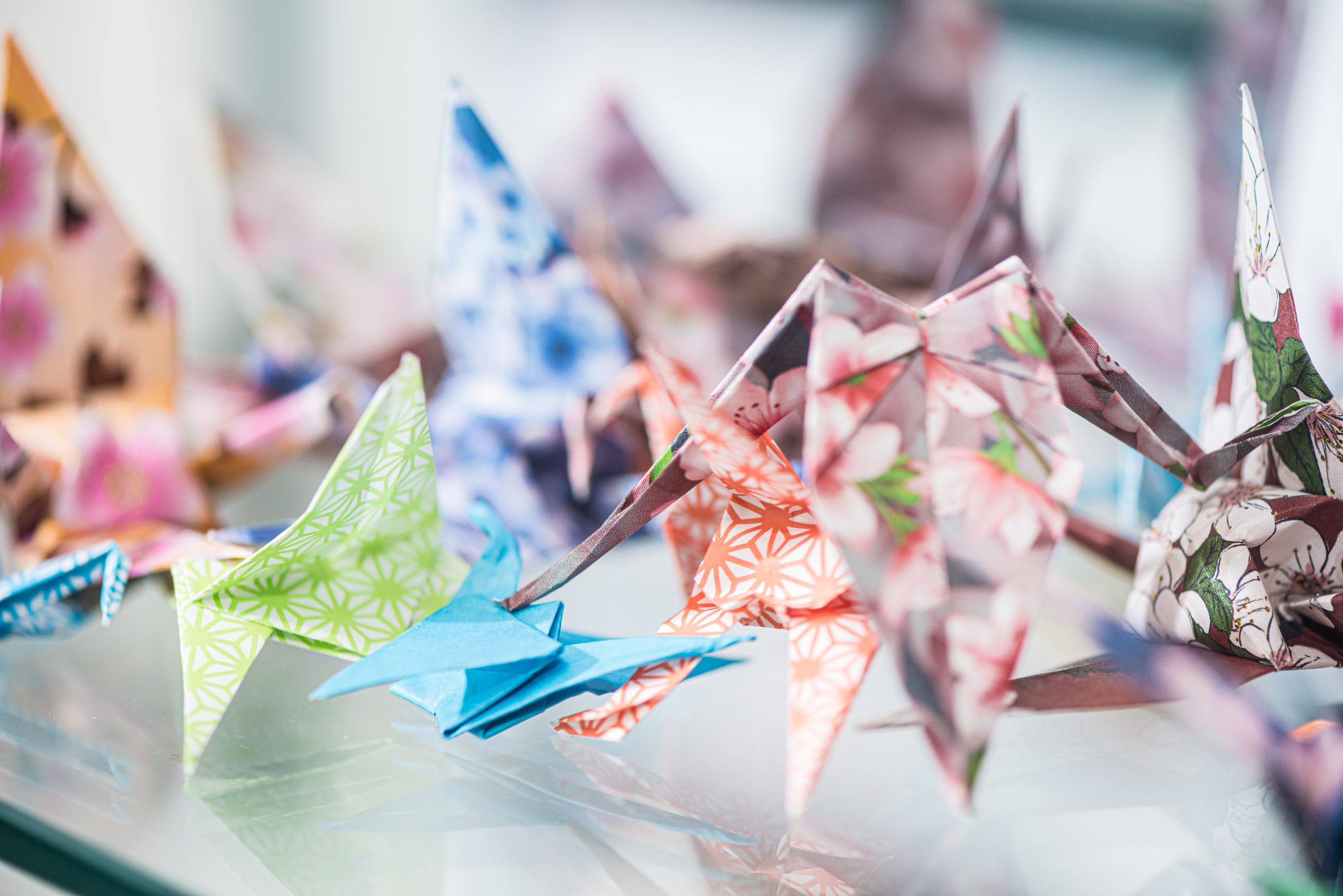 Origami for Hope Brings Community Together to Support UVA Health ...