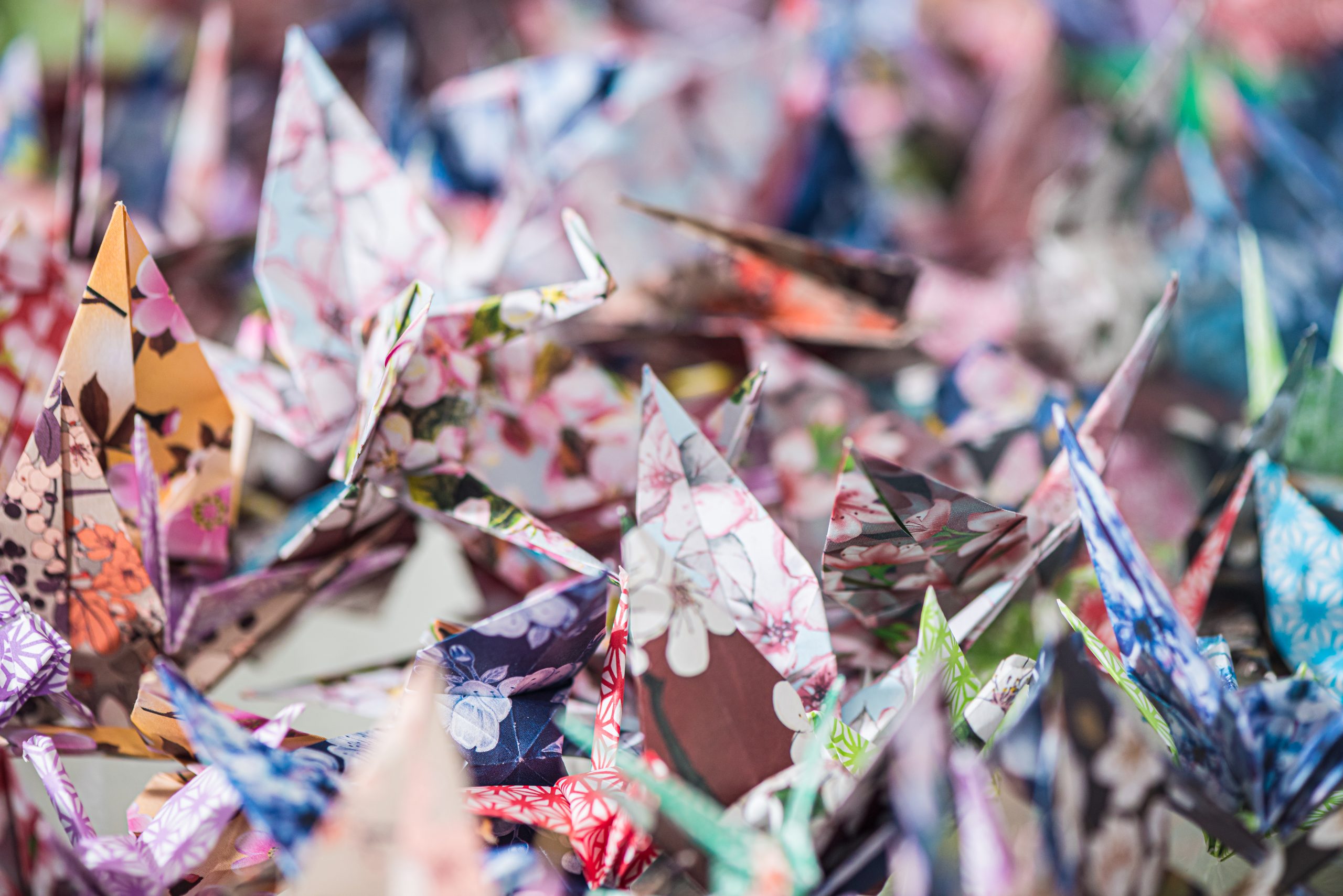 Origami for Hope Brings Community Together to Support UVA Health ...
