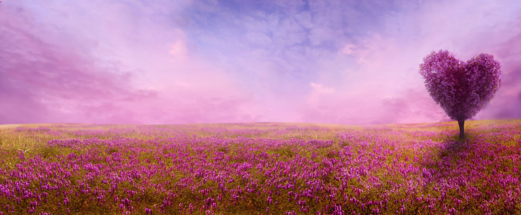 Lifetimes of Love: Local Couples Share Their Stories | Prince William ...