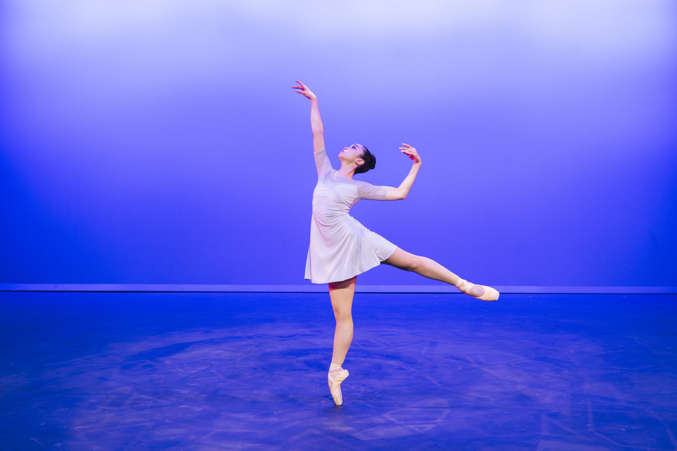 Manassas Ballet Theatre Mixes the Classical and Neoclassical | Prince ...