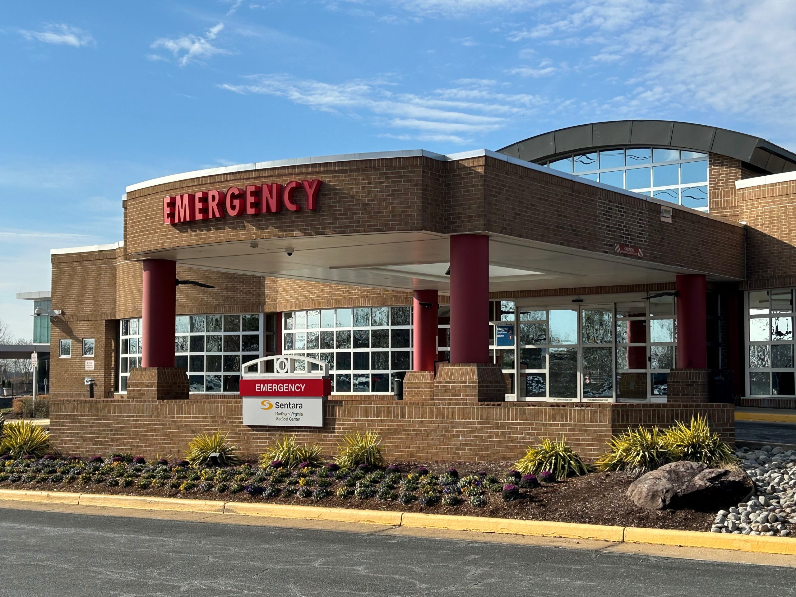 Snake Bite Season Begins Earlier as Summer Arrives, Emergency ...